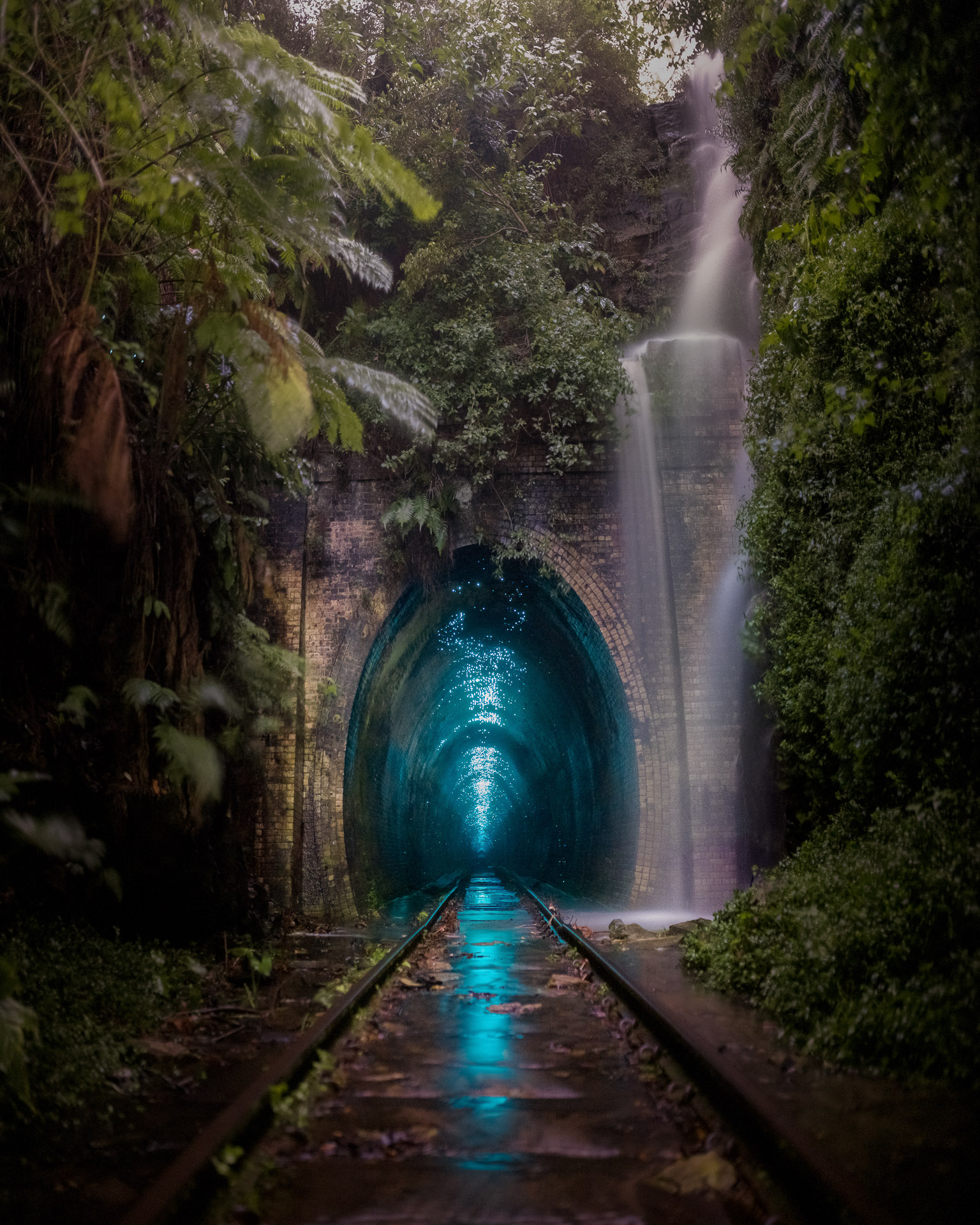 2022 Winners: Urban Wildlife | Nature TTL