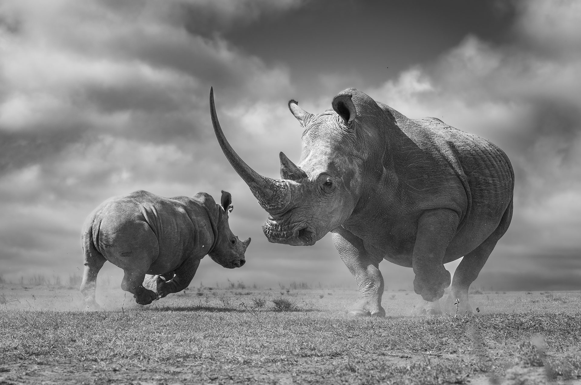 Nature TTL POTY 2023: Winners Gallery | Nature TTL