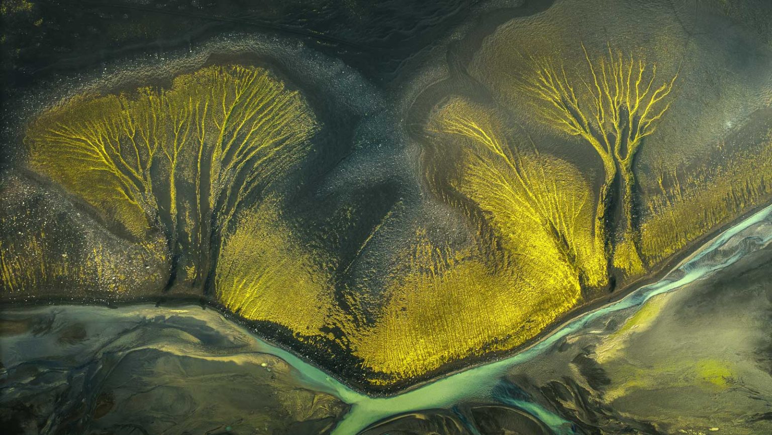 Nature TTL POTY 2024: Winners Gallery | Nature TTL