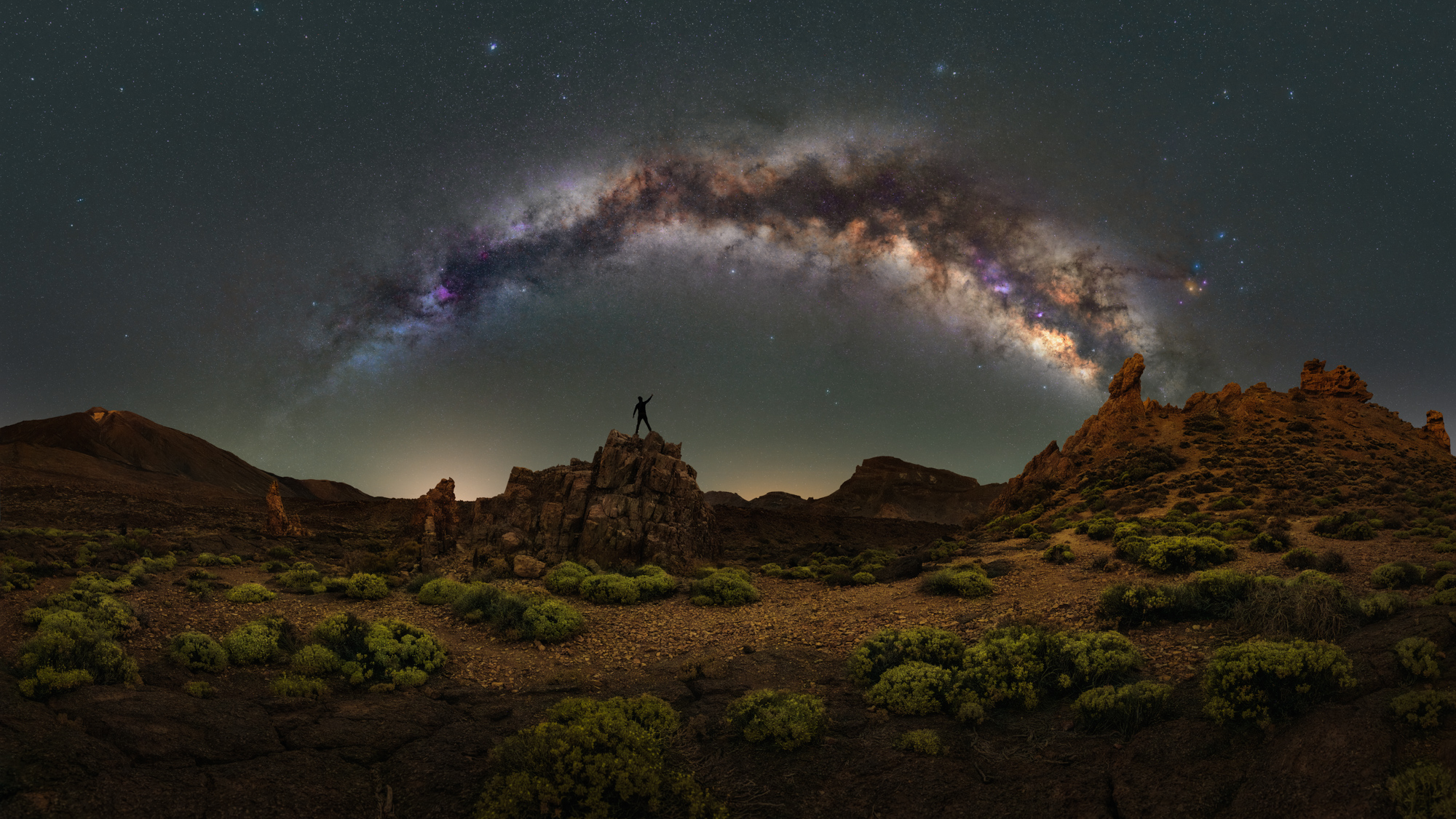 2025 Winners | Nature TTL