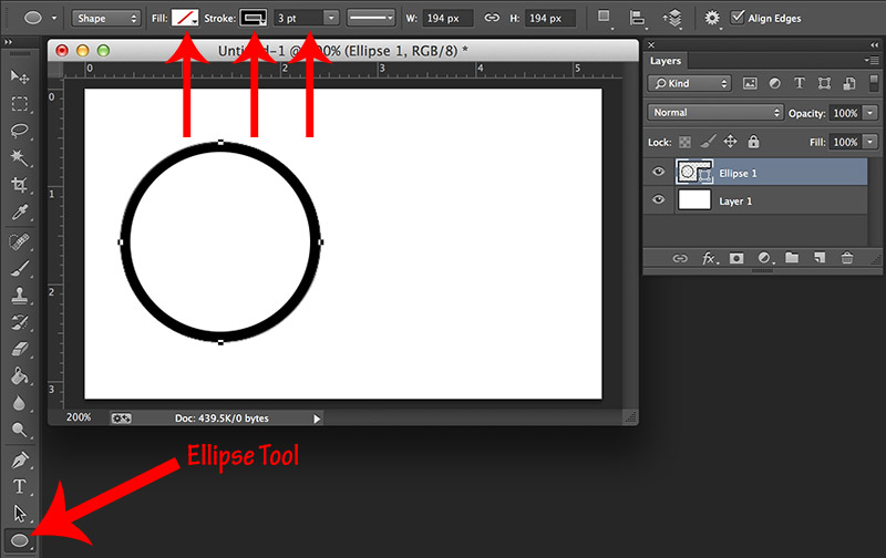 How to Watermark a Photo | Nature TTL