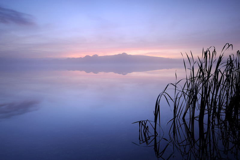 How to Photograph Magical Morning Mist | Nature TTL