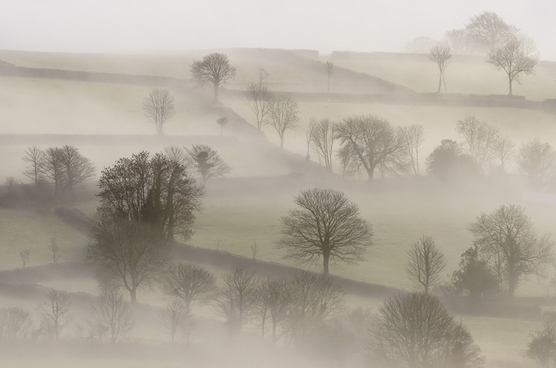How to Photograph Magical Morning Mist | Nature TTL