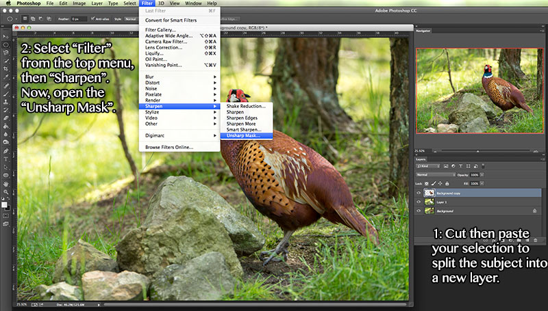 How to Get Sharper Images with Selective Sharpening | Nature TTL