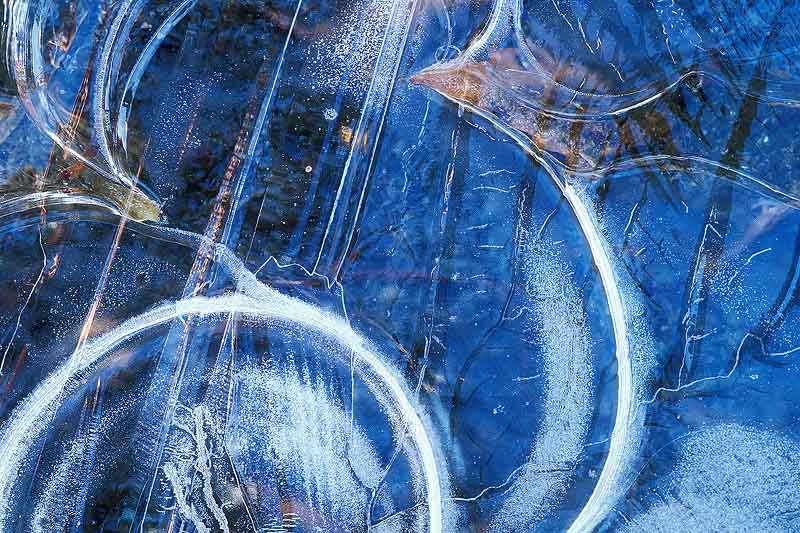 Macro Photography: How to Photograph Frost & Ice | Nature TTL