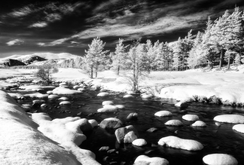 Infrared Photography: The Invisible Light | Nature TTL