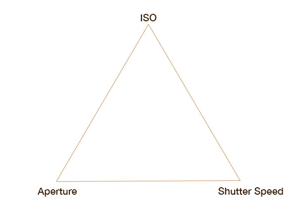 Understanding the Exposure Triangle | Nature TTL Understanding the Exposure Triangle | Nature TTL