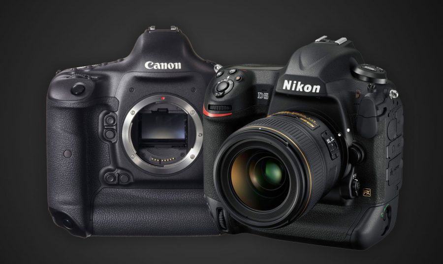 How to Find Your Camera's Shutter Actuation Count | Nature TTL