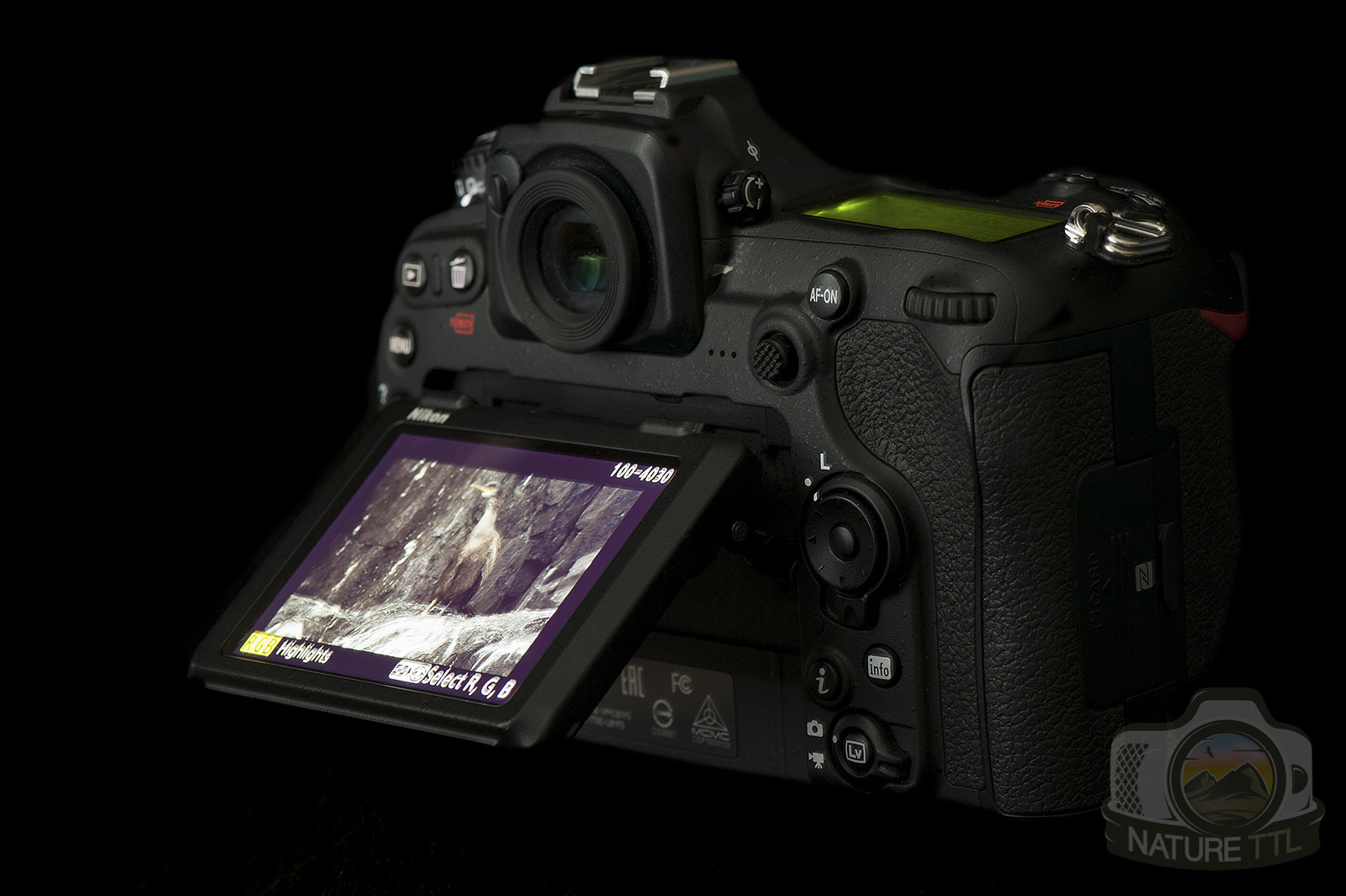 Nikon D500 Review: In the Hands of a Wildlife Photographer | Nature TTL