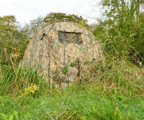 How to Build a Bird Reflection Pool | Nature TTL