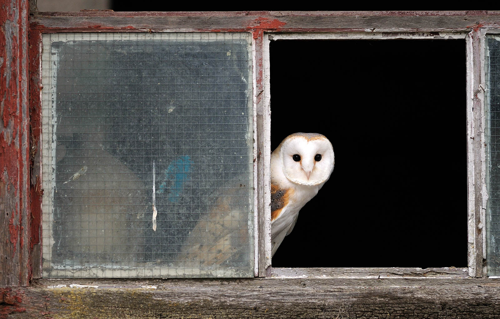 Composition: How to Create a Frame within a Frame | Nature TTL