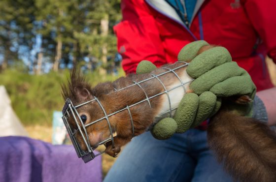 All You Need to Know to Process a Raw File in Lightroom | Nature TTL