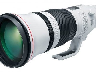 Canon EOS R Review: Hands-on and First Impressions | Nature TTL