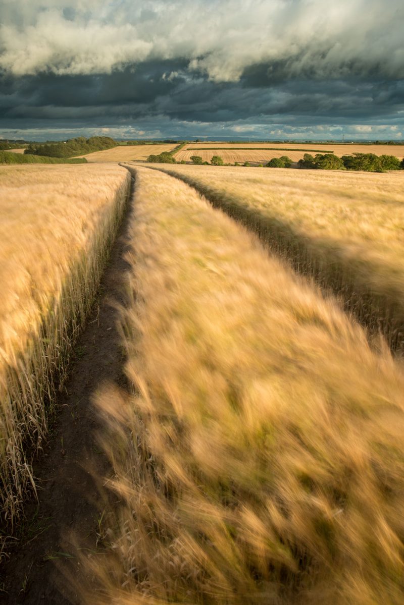 How to Capture Movement in Landscapes | Nature TTL