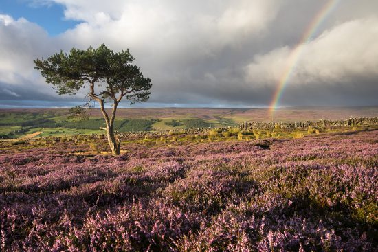 Top 10 Locations for Landscape Photography in Yorkshire - Nature TTL