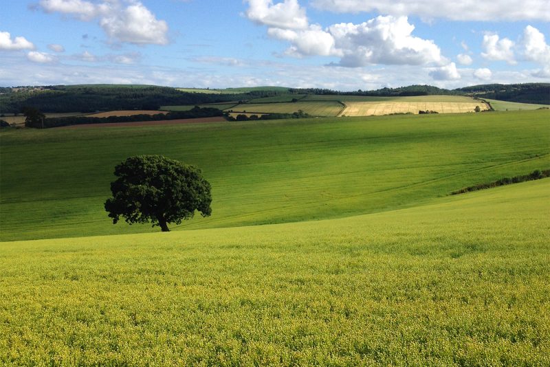 How to Use a Smartphone for Nature Photography - Nature TTL