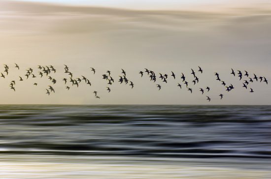 How to Take Fine Art Nature Photographs - Nature TTL