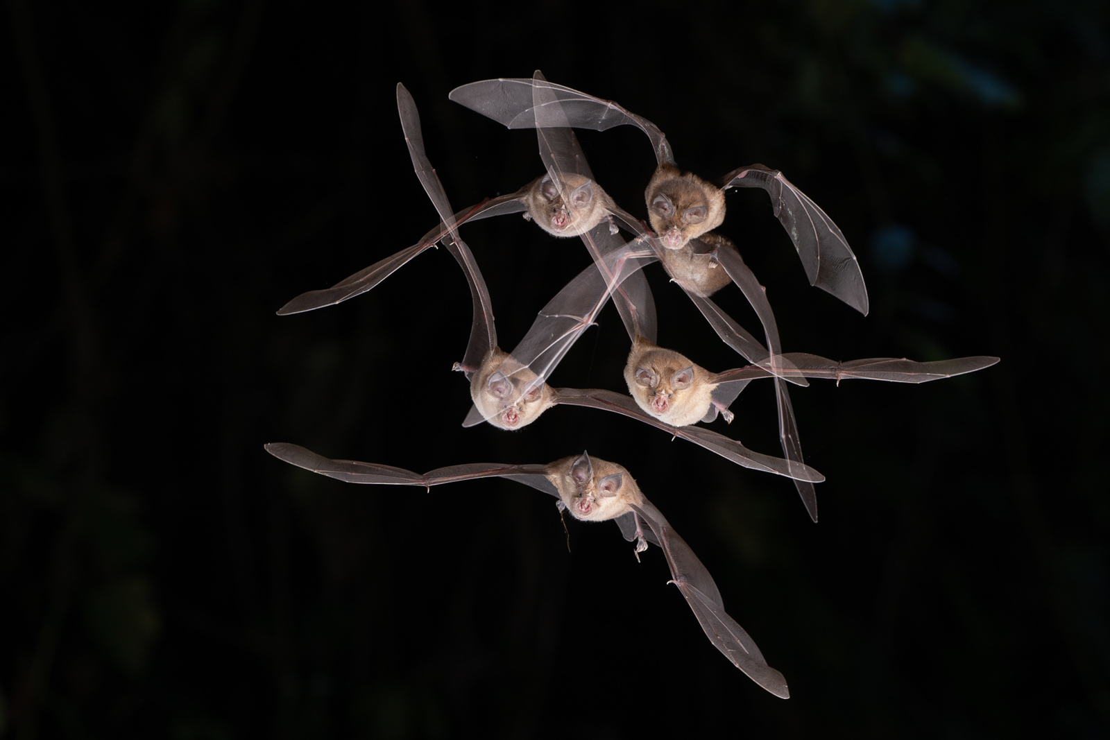Basement Beam Covers - The Best Picture Of Beam