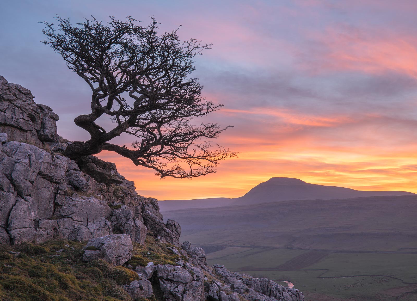 How to Photograph Lone Tree Landscapes - Nature TTL