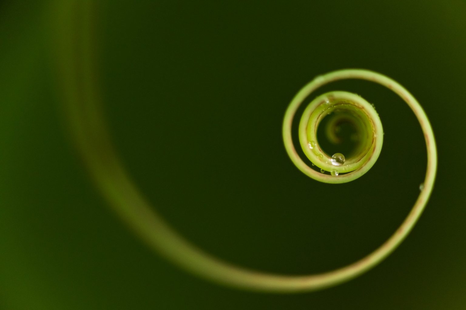 10 Ways to Photograph Water - Nature TTL