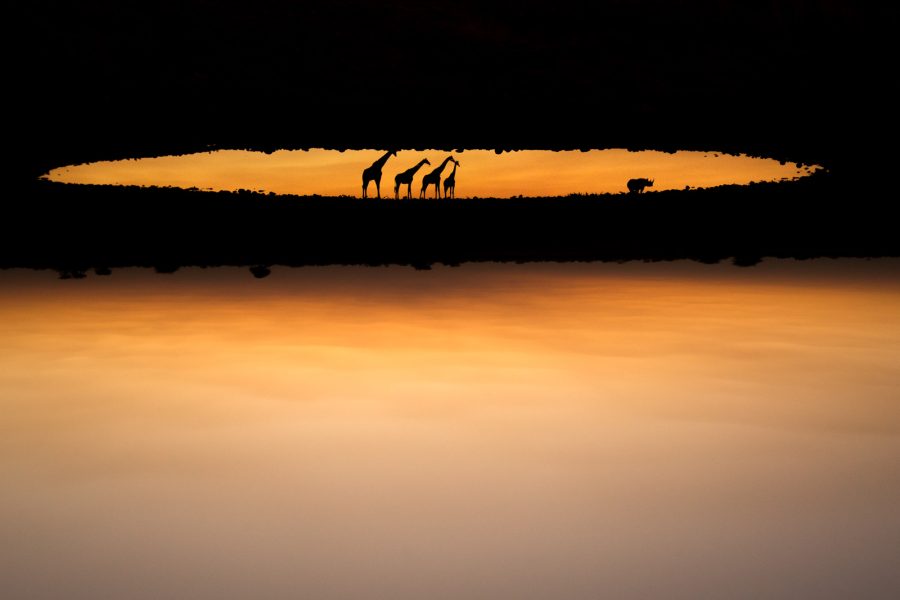 Marina Cano: 25 Years Behind the Camera - Nature TTL