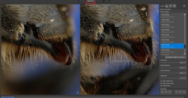 How to Use Focus Stacking for Studio Macro Photography - Nature TTL