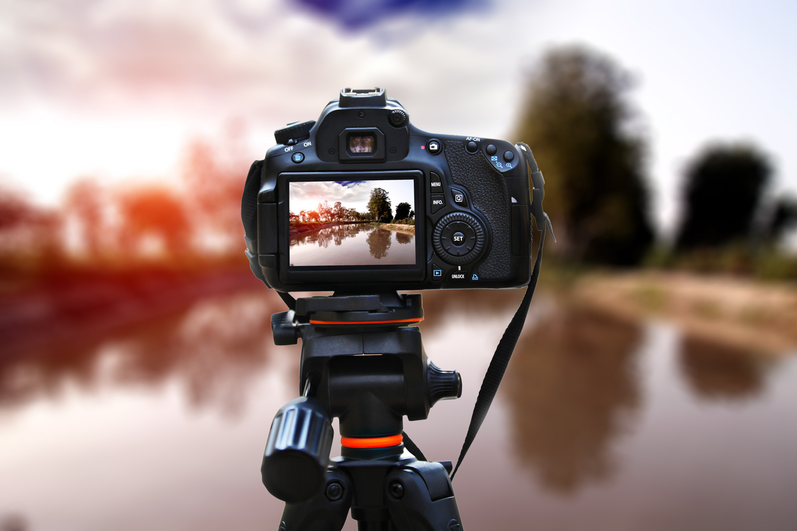 What Is Focus Stacking in Photography? - Nature TTL