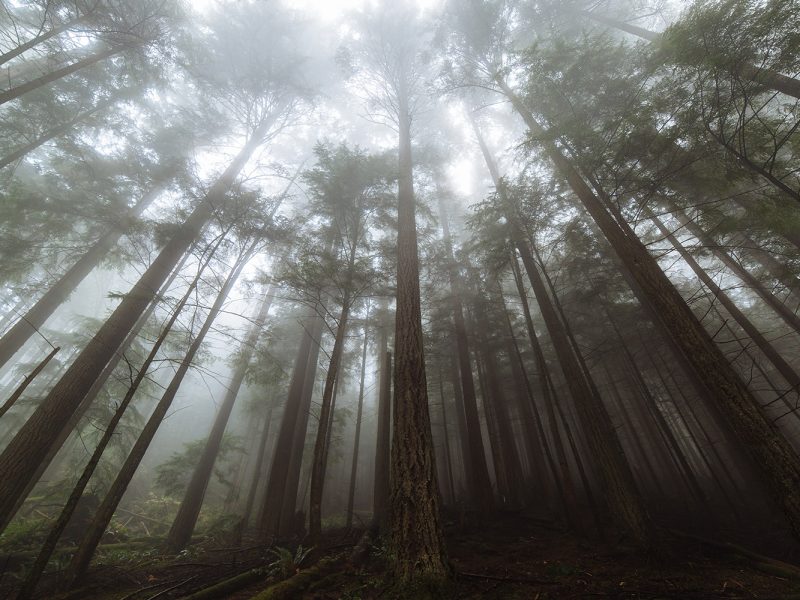 Hyperfocal Distance: Focusing in Landscape Photos - Nature TTL