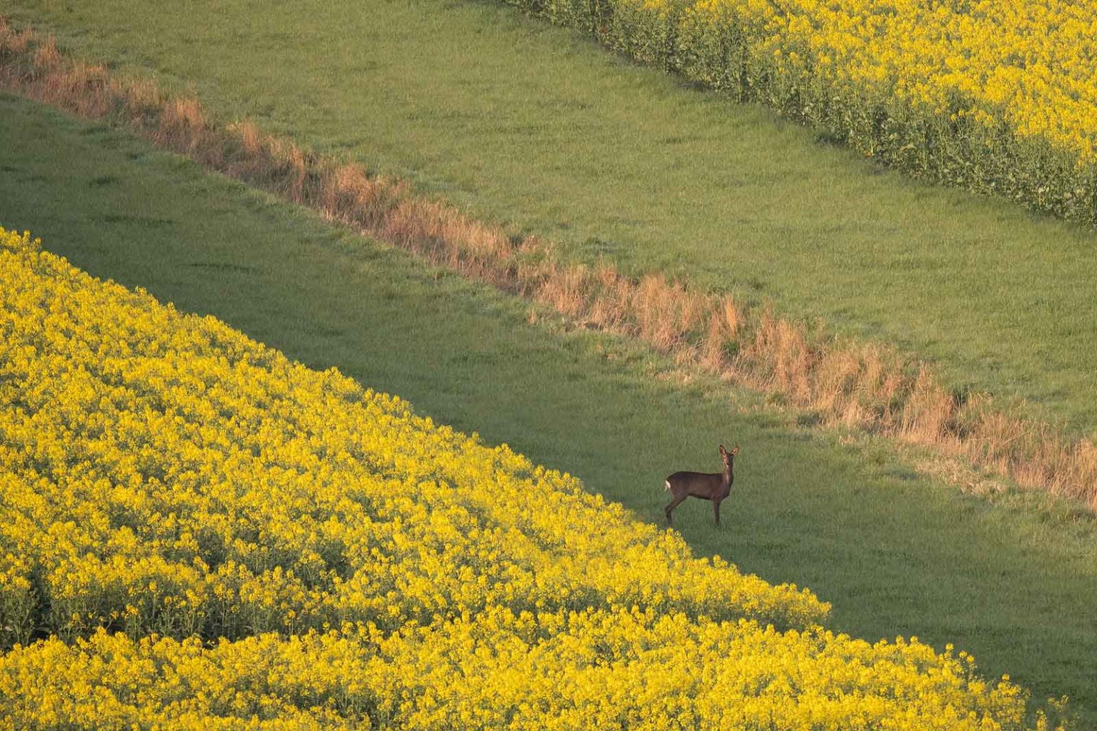 Best Places for Landscape Photography in Northumberland - Nature TTL