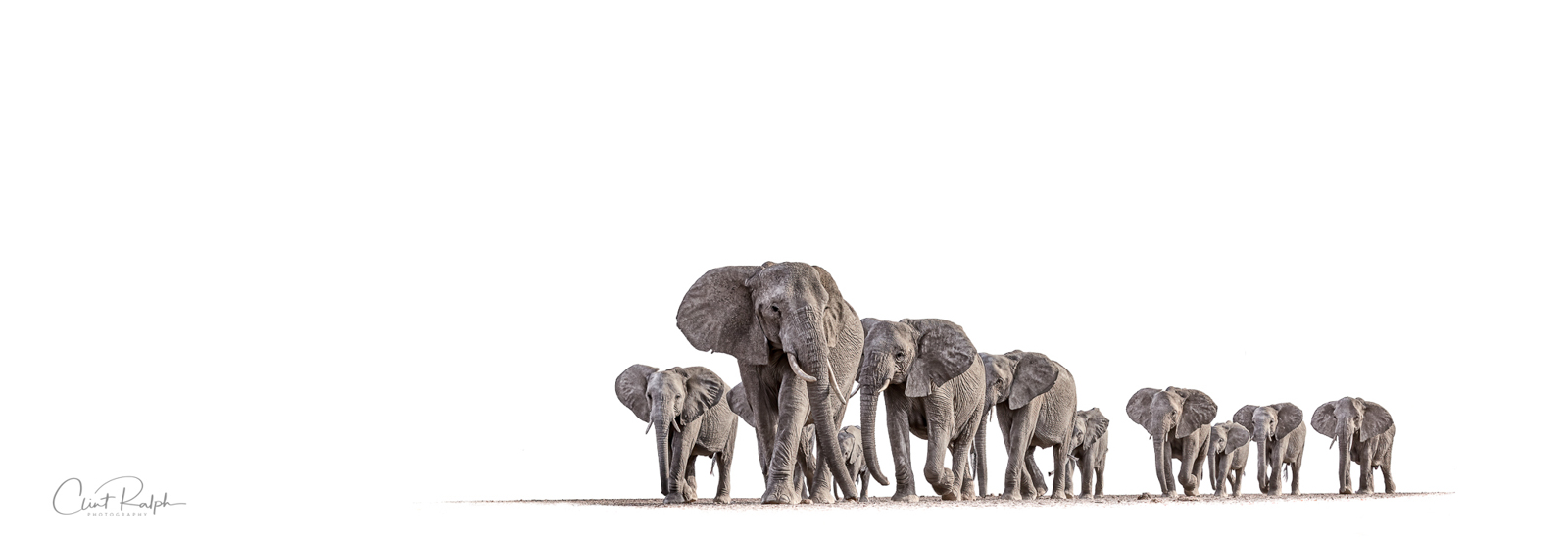 Photographing One of the Last Super Tuskers of Africa - Nature TTL