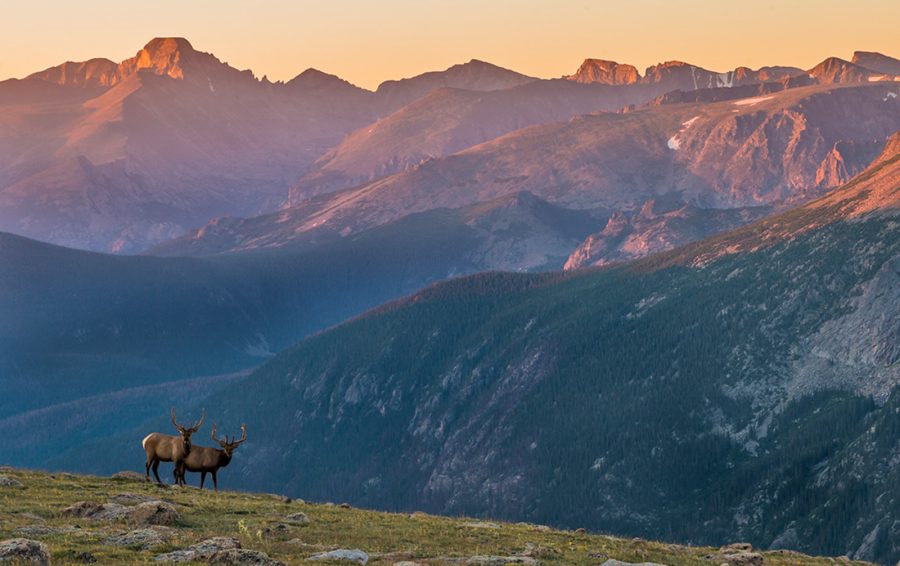Nature Photography Guide to Rocky Mountain National Park - Nature TTL