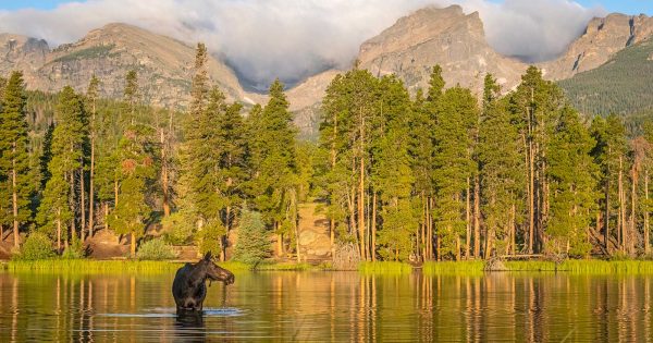 Nature Photography Guide to Rocky Mountain National Park - Nature TTL