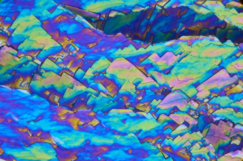 Macro Photography Tutorials - Nature TTL