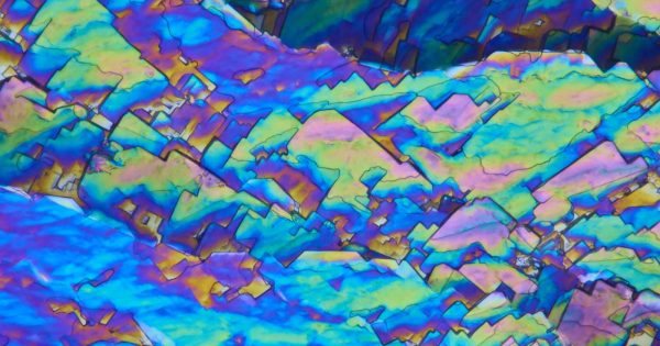 Making and Photographing Crystals With a Microscope - Nature TTL