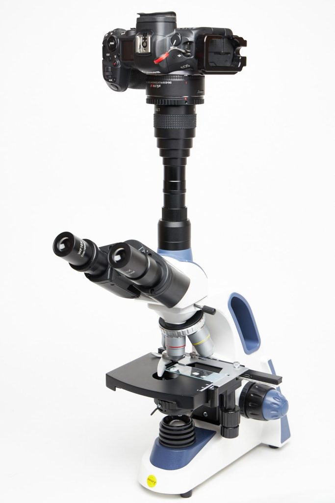 Making and Photographing Crystals With a Microscope - Nature TTL