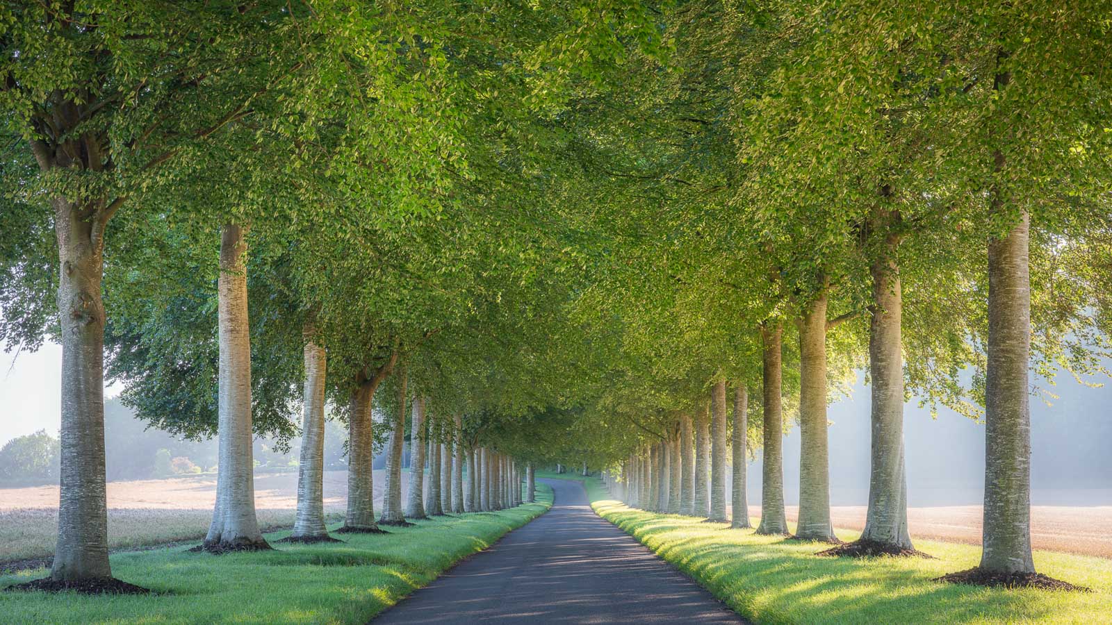 How to Photograph the Seasons - Nature TTL