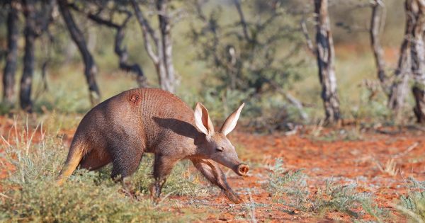 9 Ways to Build Your Confidence in Nature Photography - Nature TTL