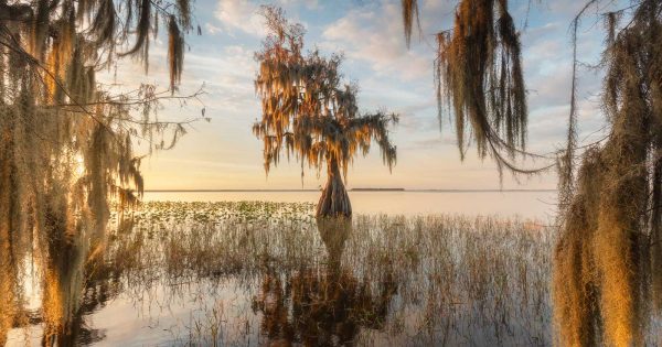 8 Best Places for Photography in Florida - Nature TTL