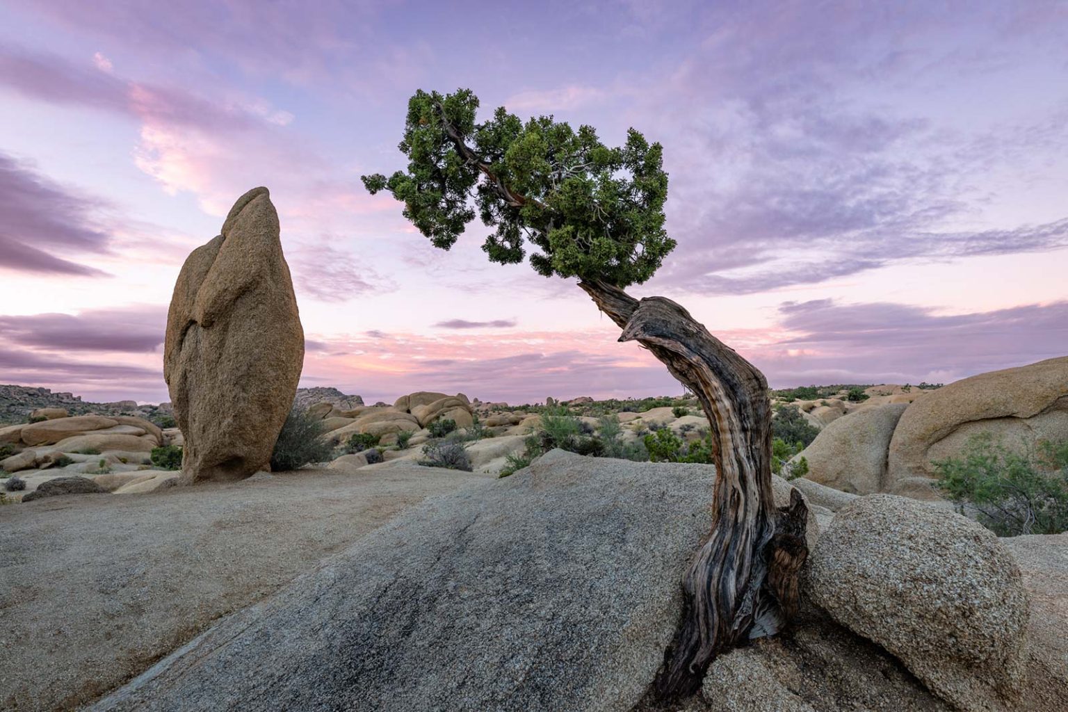 Photography Guide to Joshua Tree National Park in California, USA ...