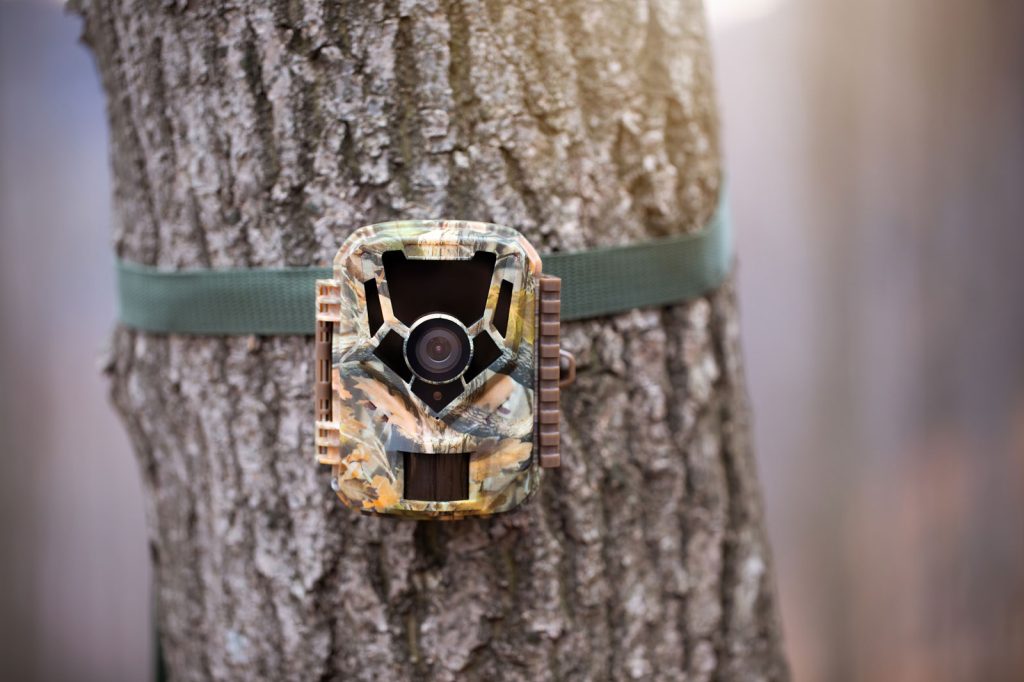 The Ultimate Guide to Choosing the Best Trail Camera in 2023 - Nature TTL