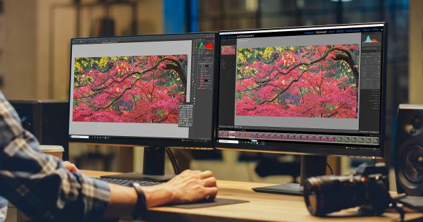 How to Make Panoramic Prints - Nature TTL