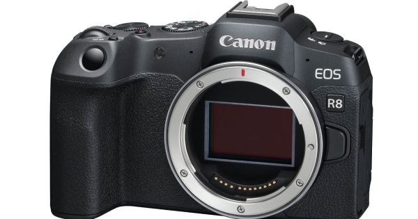 Canon's New EOS R8 Shoots 24 Megapixel Photos at up to 40fps - Nature TTL