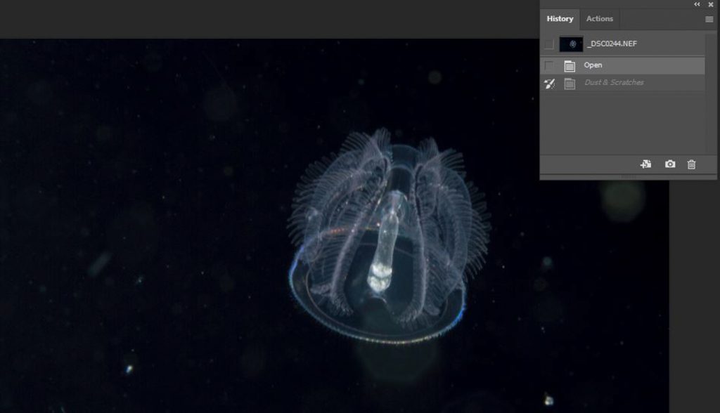 General Photography Tutorials - Nature TTL